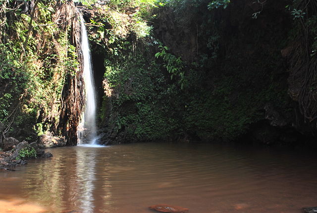 Things to do in Gokarna : Apsarakonda Falls | Resorts in Gokarna - Red ...